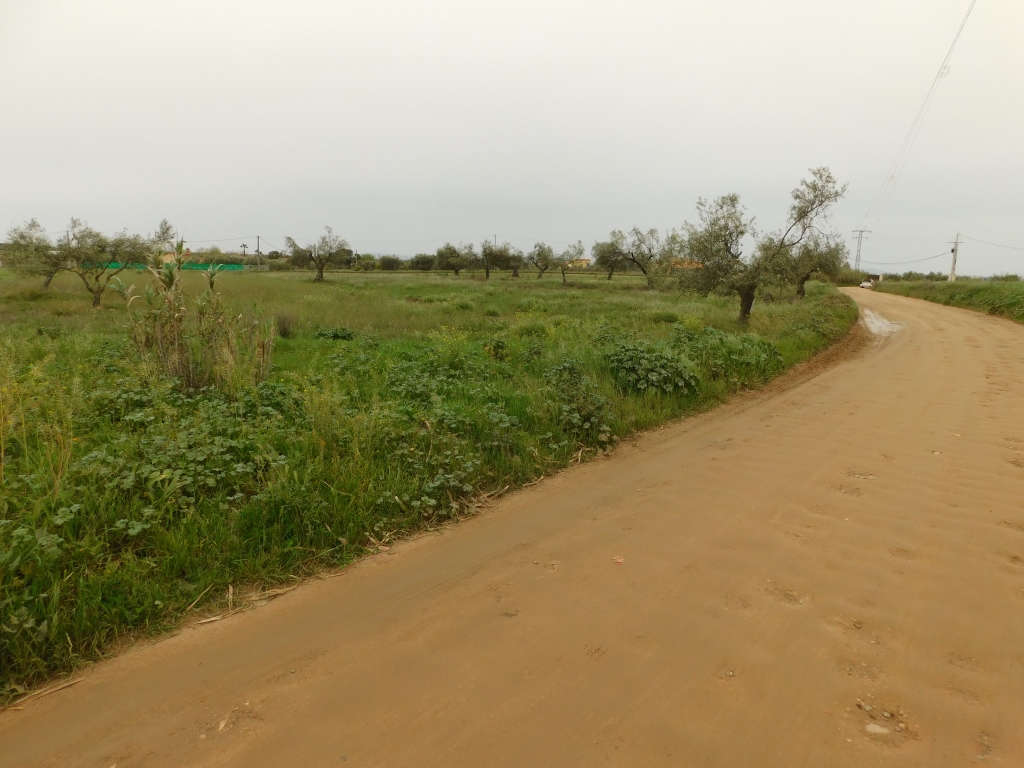 PARCELA RUSTICA ECONOMICA | Inmobiliaria Muñiz